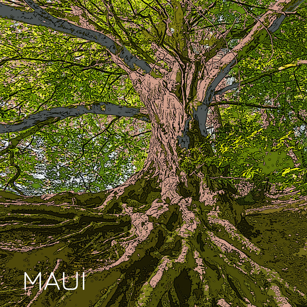 Maui - Banyan Tree Coaster Set – Loop Home Goods & Gifts